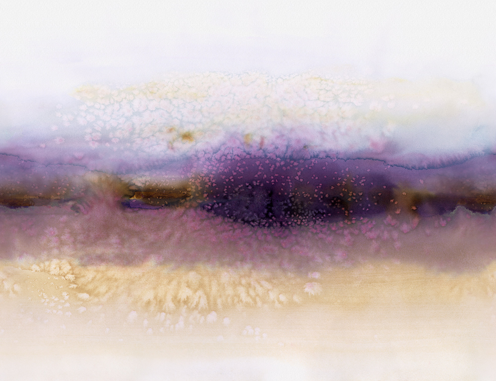 Vista 2 Mural | Astek